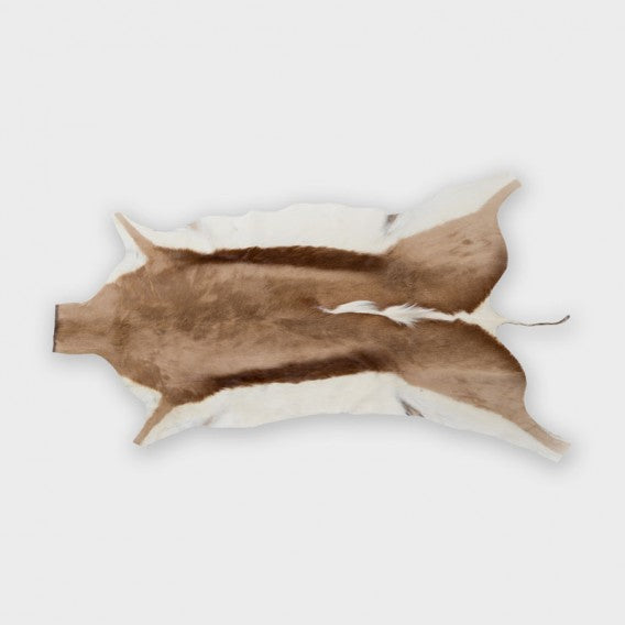 Hides – Casmo Decor